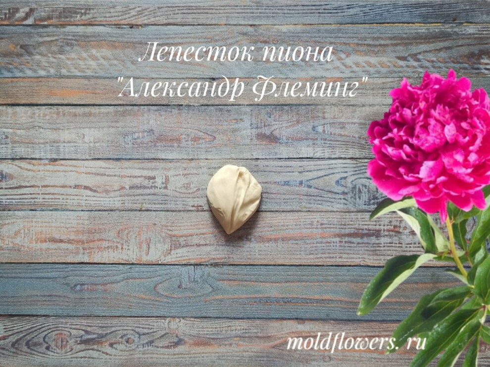 силиконовые формы. {молды и вайнеры для фоамирана}{moldflowers.ru ...